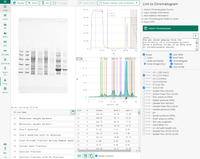 ImageQuant™ TL 分析软件 | Cytiva