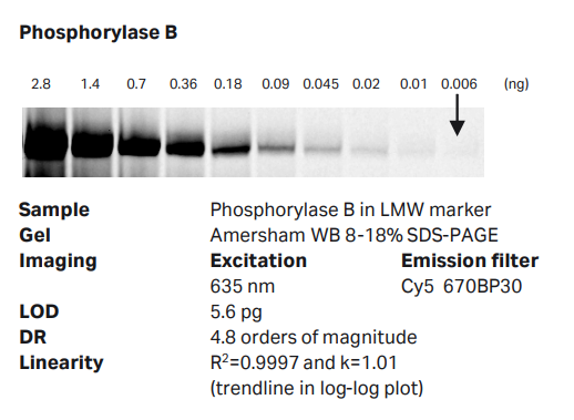 5 reasons you need a Typhoon™ laser scanner in your lab | Cytiva