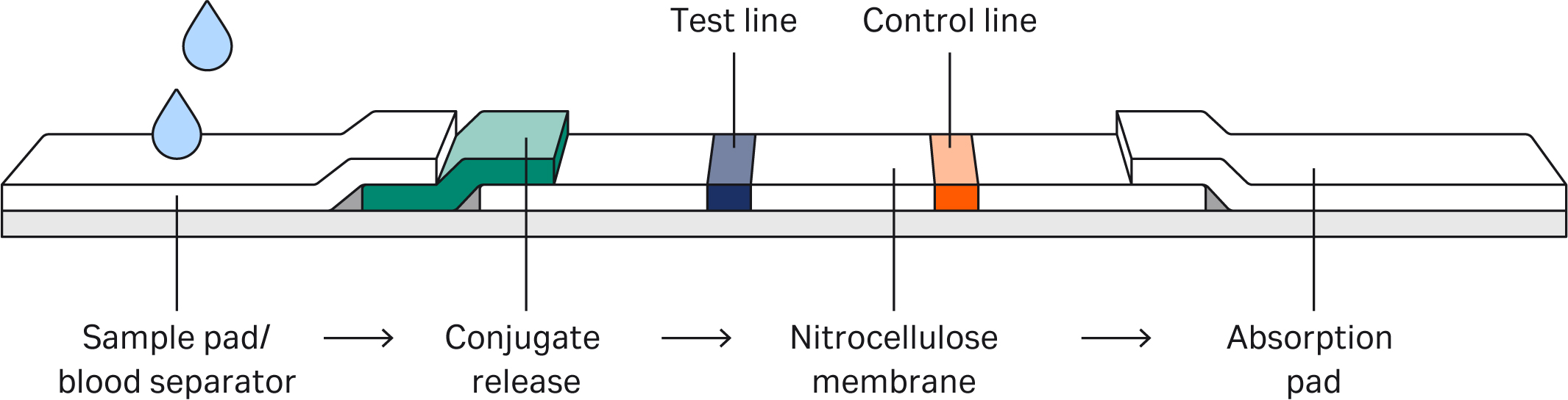 Custom Lateral flow assay development | Cytiva