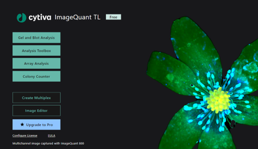 ImageQuant™ TL analysis software | Cytiva