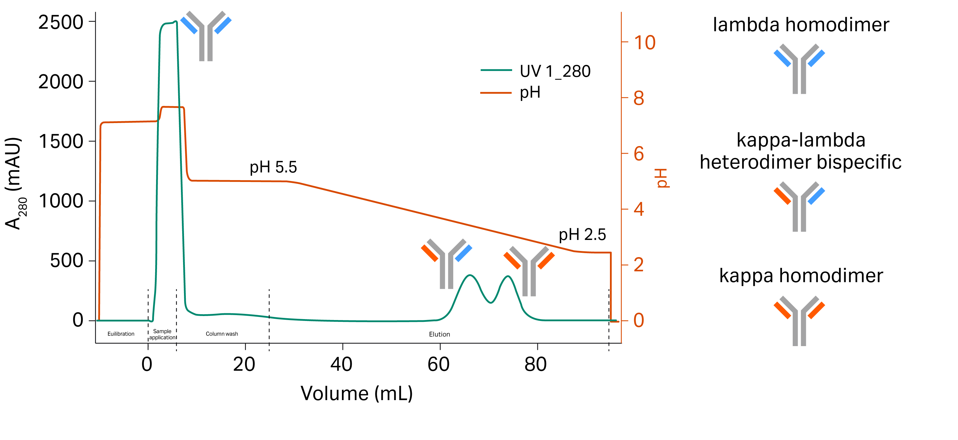 Knowledge Center | Cytiva