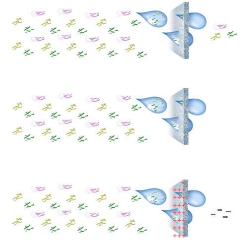 Choose the right filter | Cytiva