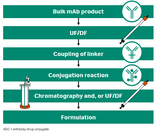 Extractables in single-use systems used in ADC manufacturing | Cytiva