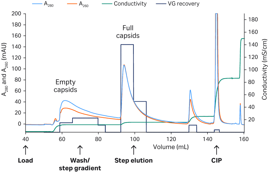 Enhanced AAV downstream processing