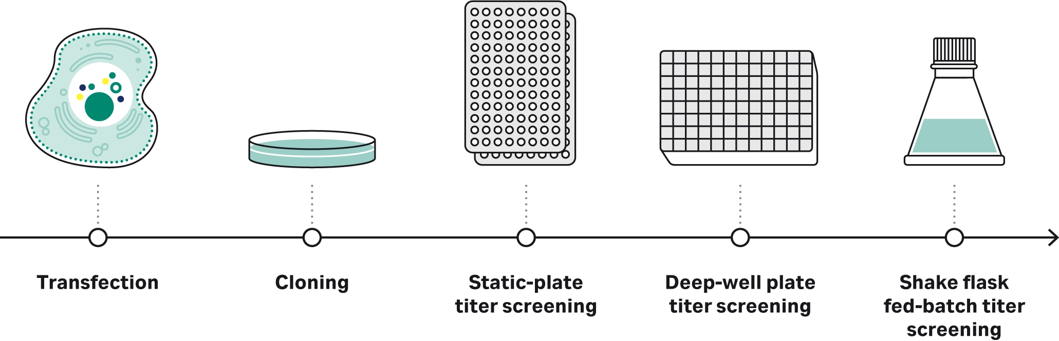 Development of SPR assays for screening and selection of cell clones ...