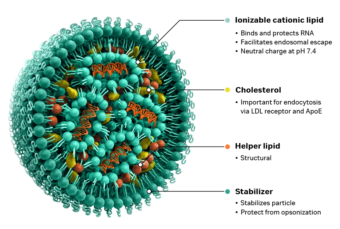 Manufacturing nanoparticle formulations – drug carriers | Cytiva