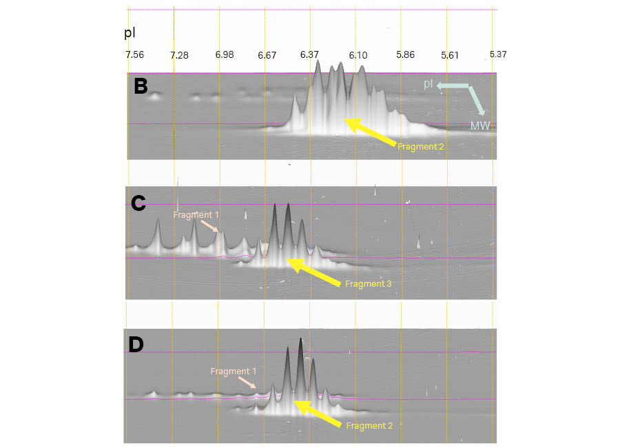 A new approach to charge variant analysis | Cytiva