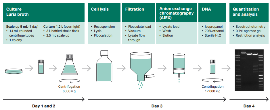Process development for Lentiviral vector production | Cytiva