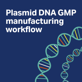Plasmid Purification | Cytiva