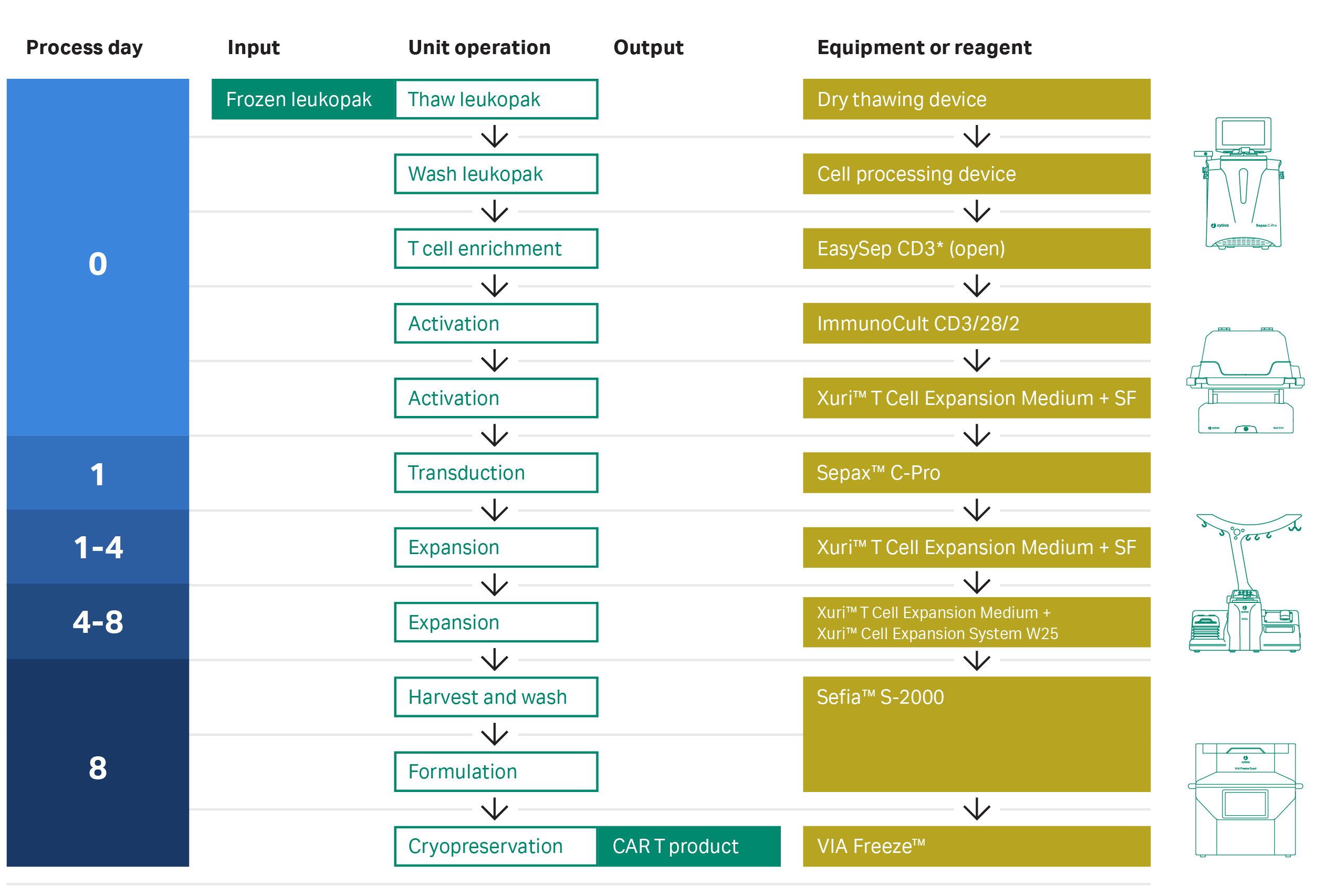 CAR T cells: closed and semi-automated processing | Cytiva