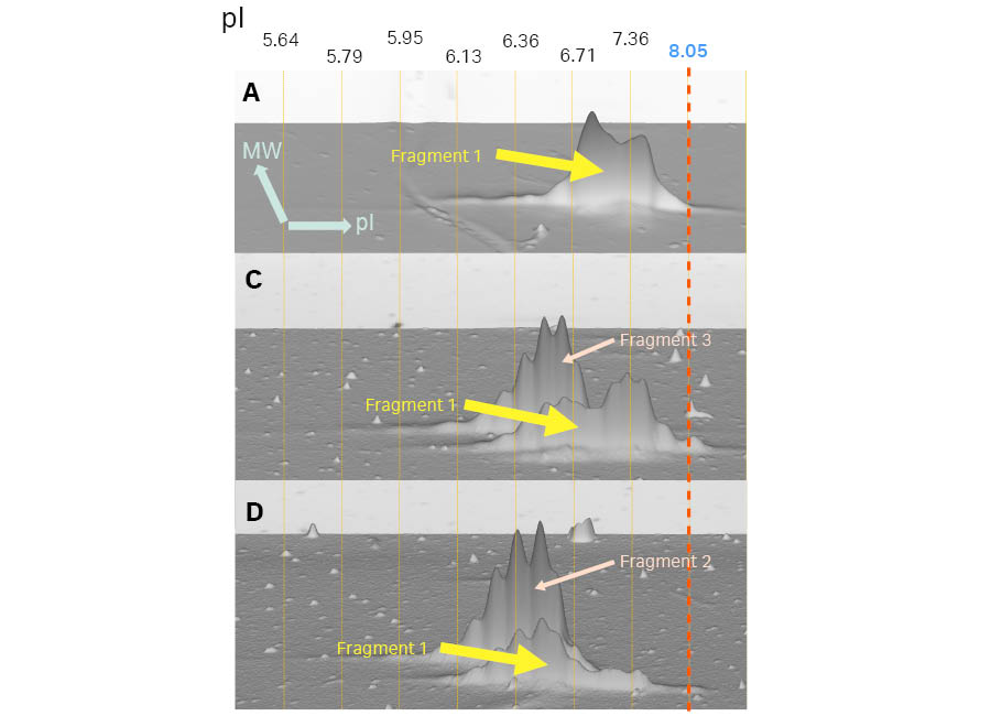 A new approach to charge variant analysis | Cytiva