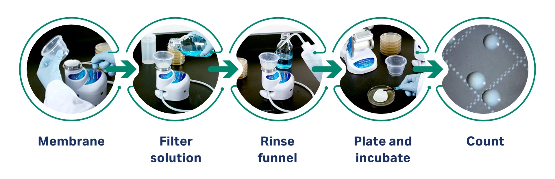 Brewed to perfection: How lab filtration supports QA in brewing