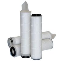 Whatman™ Polycap TF capsule filters | Cytiva