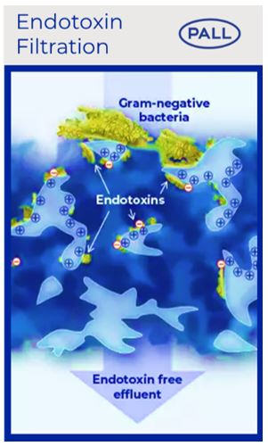 Principal mechanisms of IV filtration | Cytiva