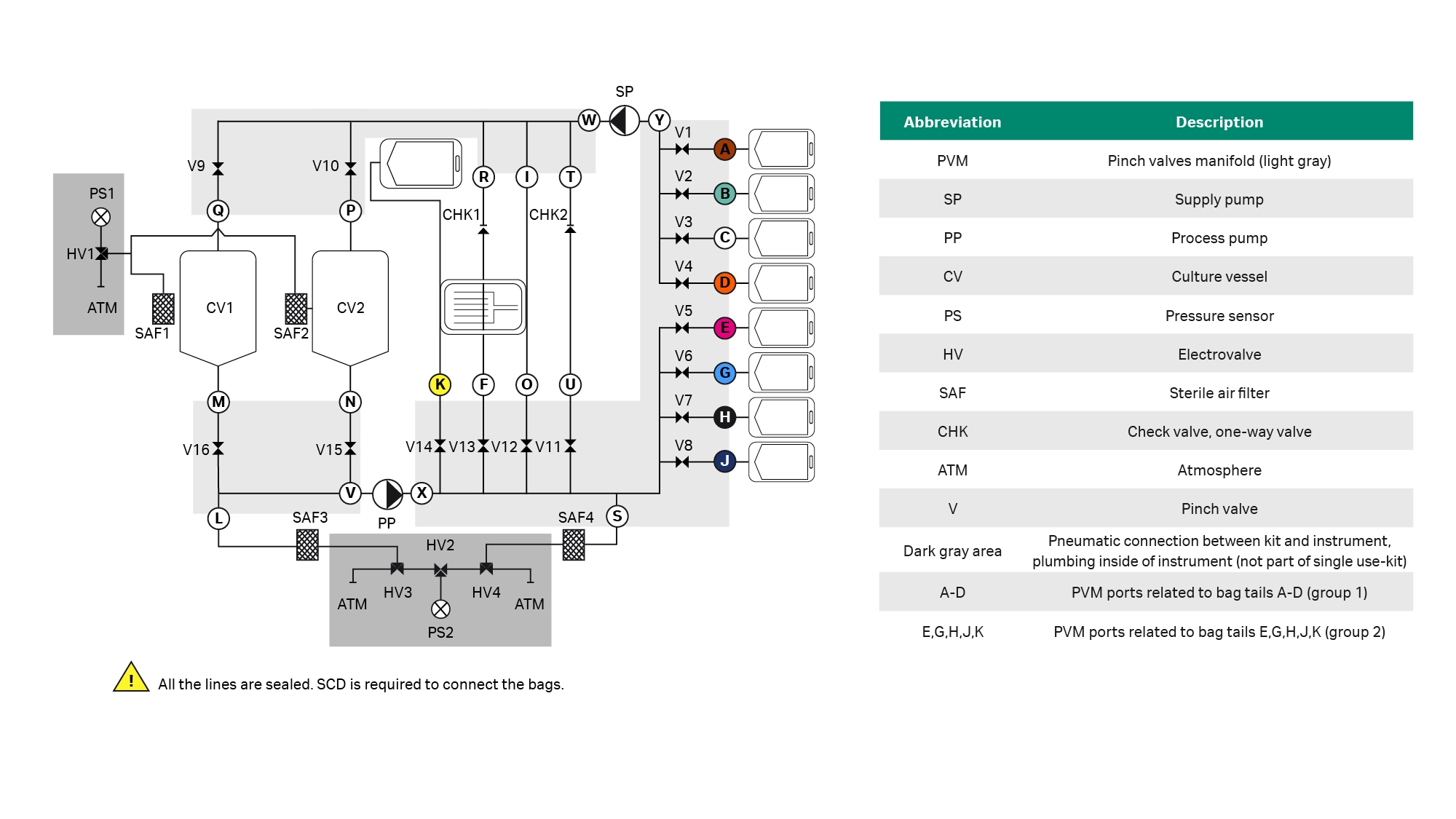 Developing CAR T cell therapies with Sefia™ cell processing platform