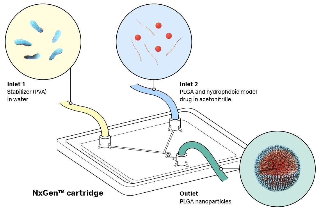 Manufacturing nanoparticle formulations – drug carriers | Cytiva