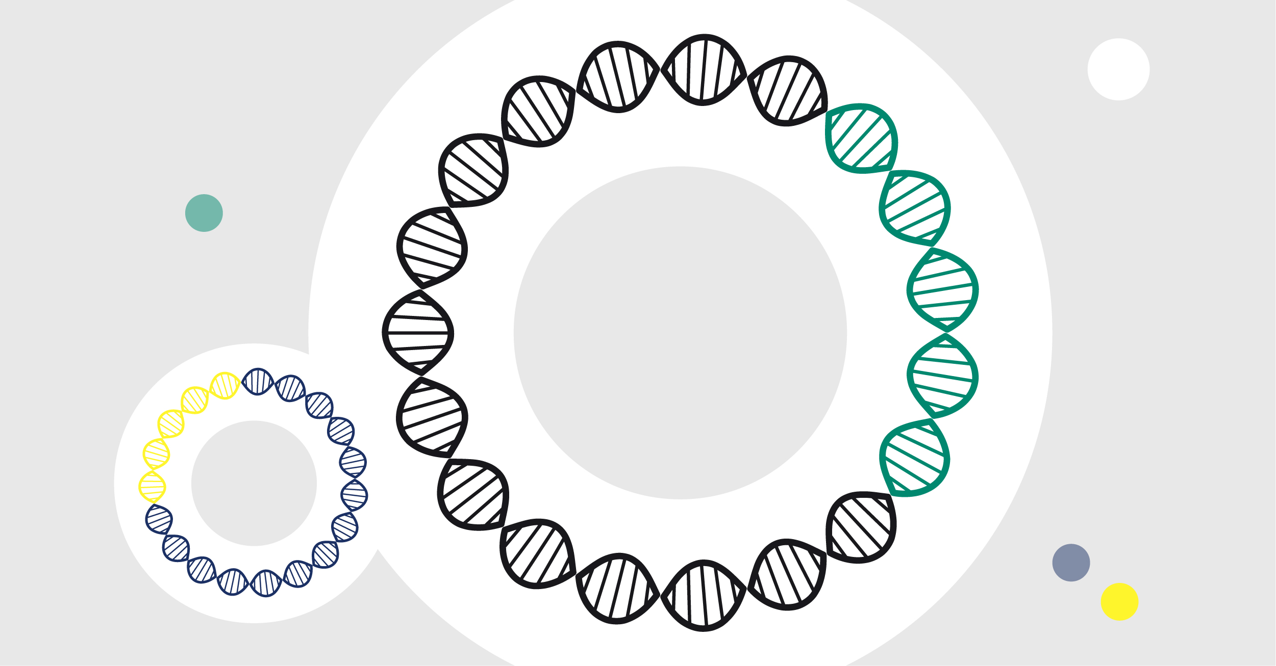 The messenger: DNA template | Cytiva