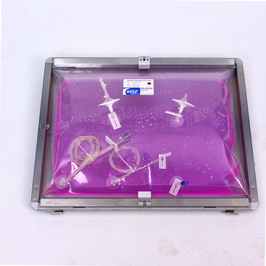 Single-use ReadyToProcess WAVE Cellbag bioreactors | Cytiva