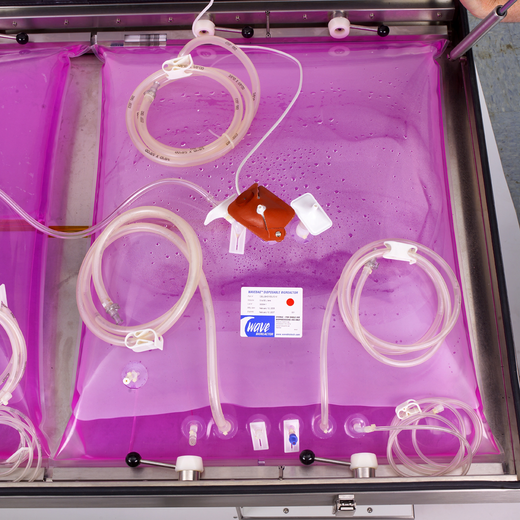 Single-use ReadyToProcess WAVE Cellbag bioreactors | Cytiva