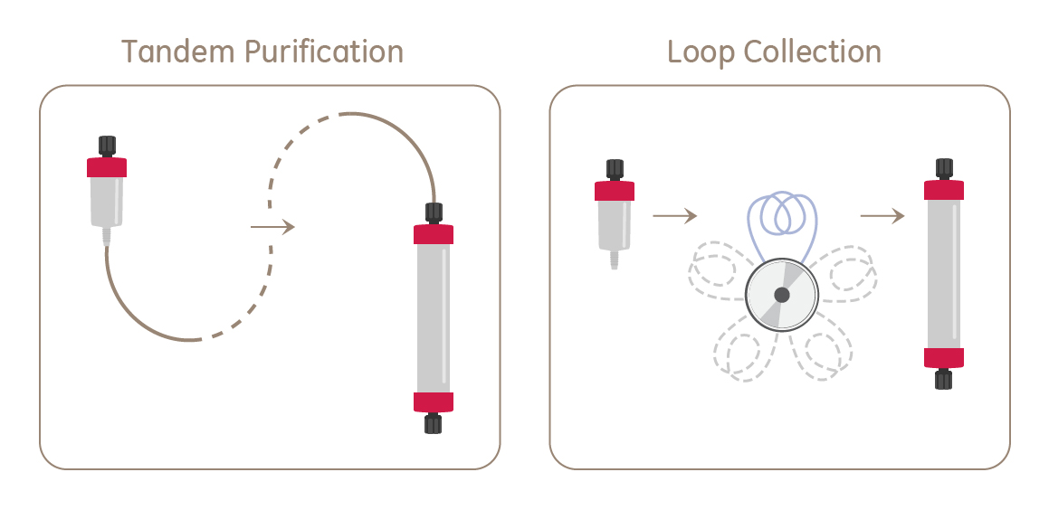 Unattended, multistep protein purification | Cytiva