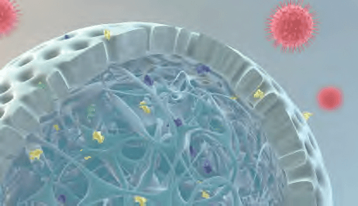 Capto chromatography resins | Cytiva