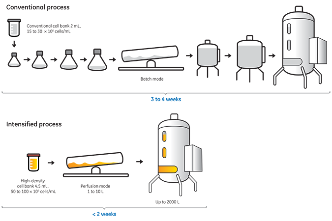 Simplifying cell culture expansion
