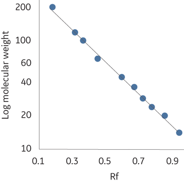 Choosing molecular markers for polyacrylamide gel electrophoresis ...