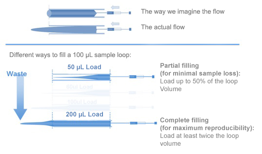Protein characterization using SEC: three webinar takeaways | Cytiva