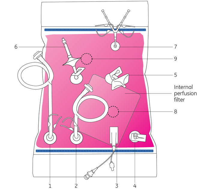 Cellbag BioClear 11, BC11, pHOPT, DOOPT II and Perfusion | Cytiva