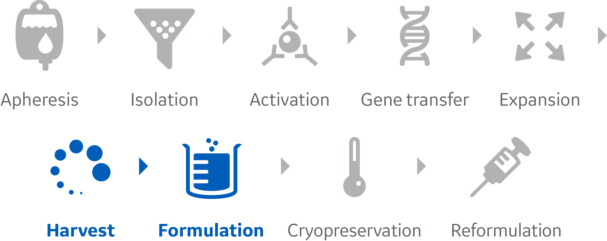 Cell harvesting and formulation | Cytiva