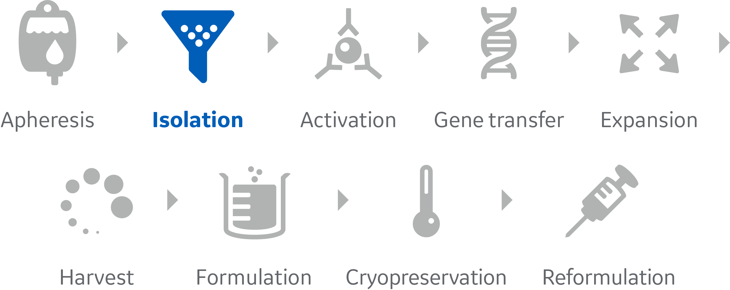 Cell isolation | Cytiva