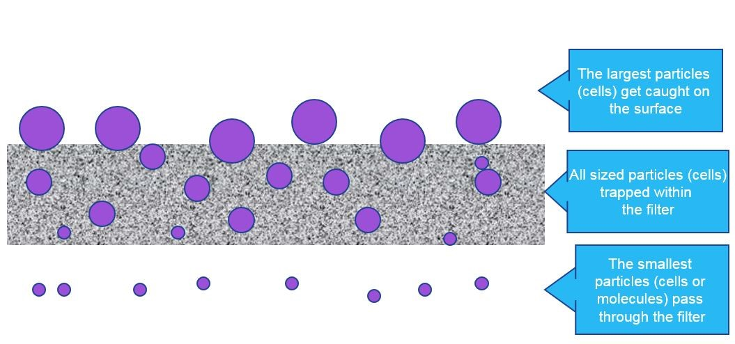 Diagnostic assays: Blood separation using depth filters | Cytiva
