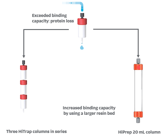 Ion exchange chromatography: two webinar takeaways | Cytiva