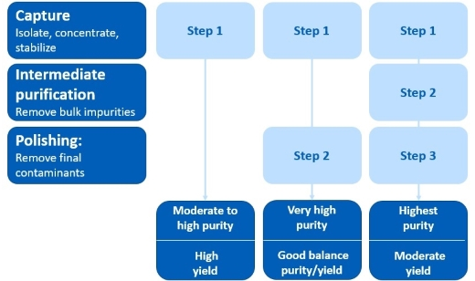 Combining purification techniques in a multistep approach | Cytiva