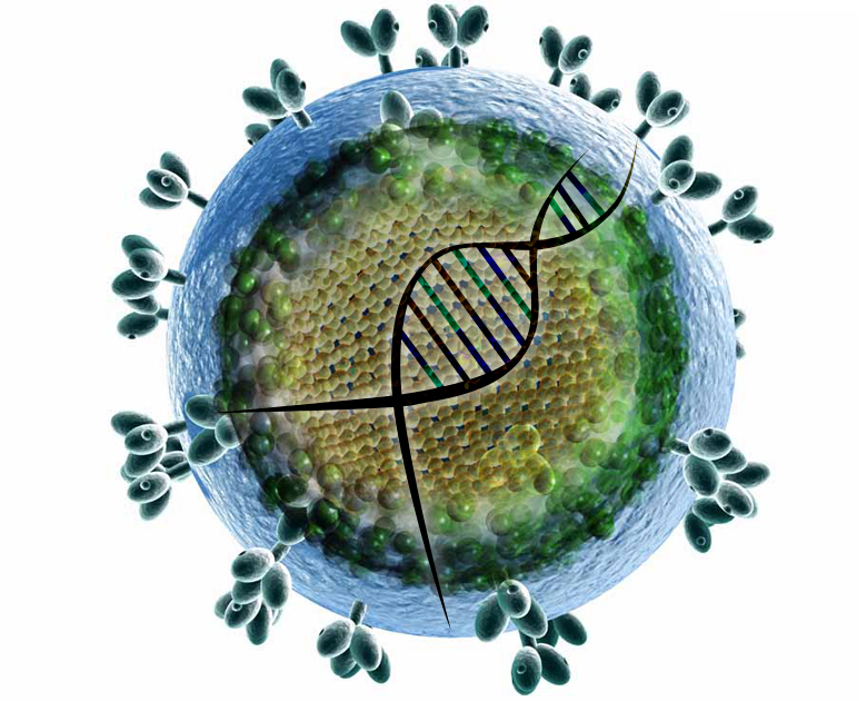 Manufacturing of vaccines and viral vectors | Cytiva