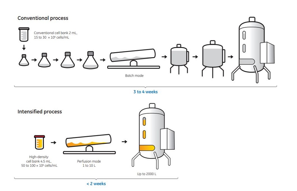 Next-generation bioprocesses: paving the way forward | Cytiva