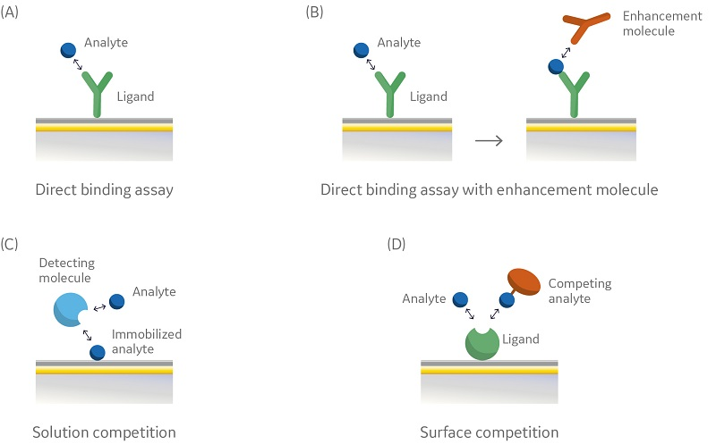 Make the switch from ELISA to Biacore™ SPR-based assays | Cytiva