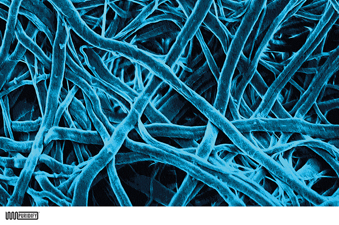 Cobra Biologics Cytiva and Centre for Process Innovation Collaborate to Advance Gene Therapy ...