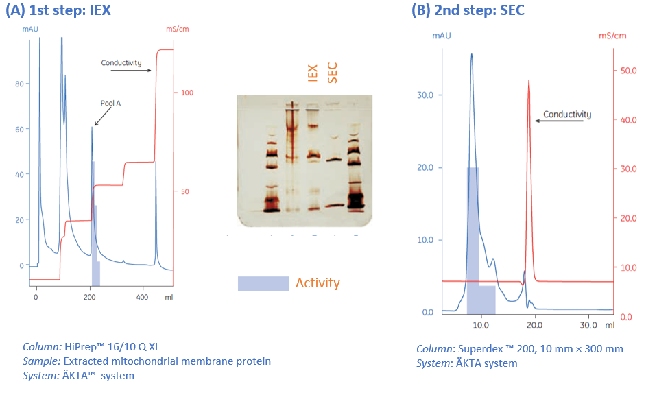 Optimize IEX purity | Cytiva