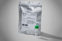 Amersham CyDye NIR secondary antibodies | Cytiva