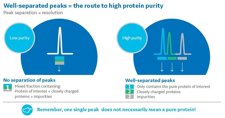 Protein purity tips for structural studies | Cytiva