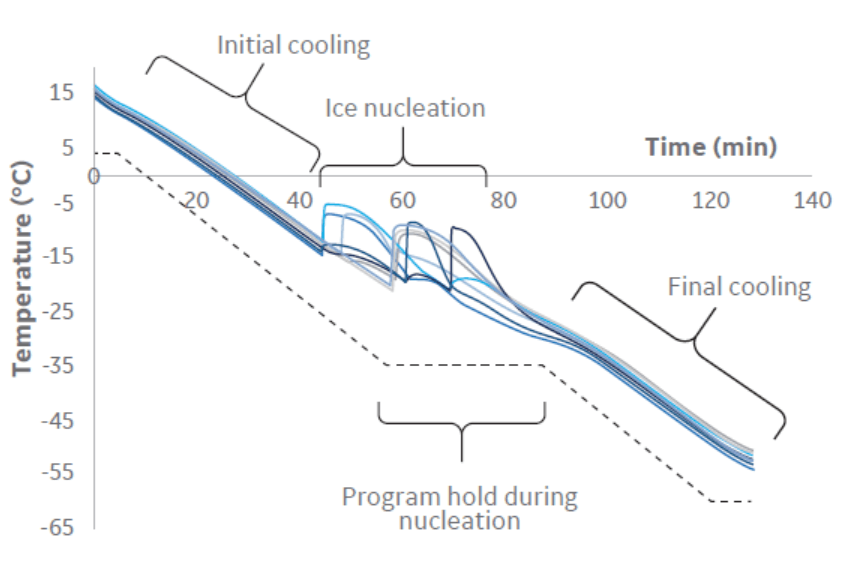 Cryopreservation of multiple cryobags | Cytiva