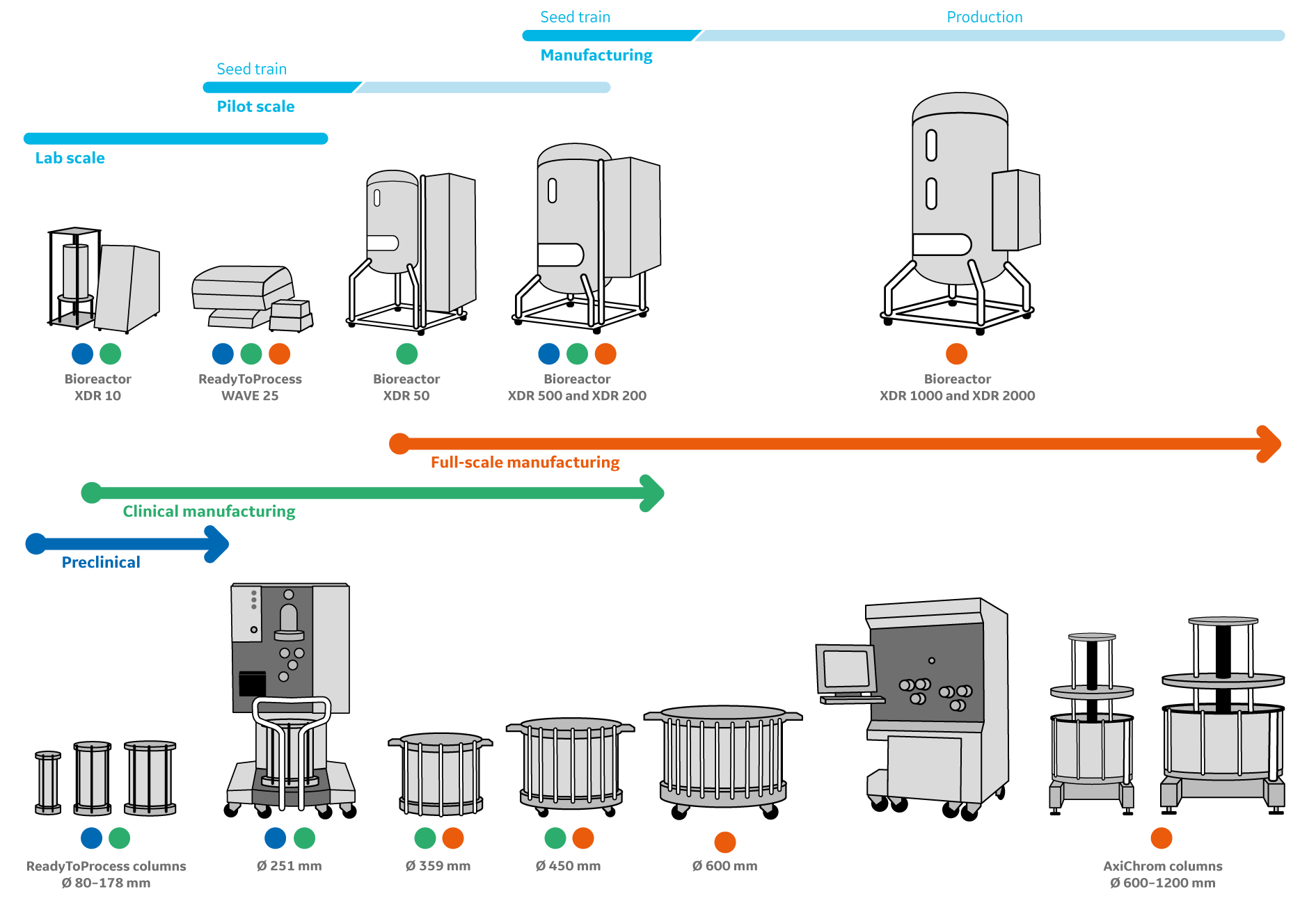 How to adapt biomanufacturing processes | Cytiva
