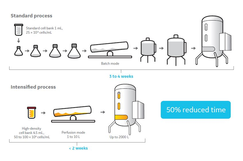4 Steps Toward End-To-End Connected Manufacturing | Cytiva
