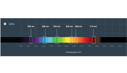 Amersham ImageQuant 800 Western blot imaging systems | Cytiva