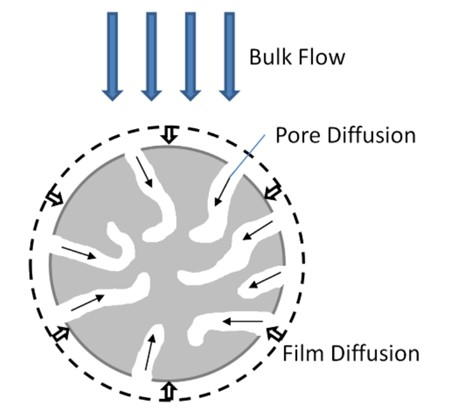 Overcome chromatography challenges with fiber adsorbents