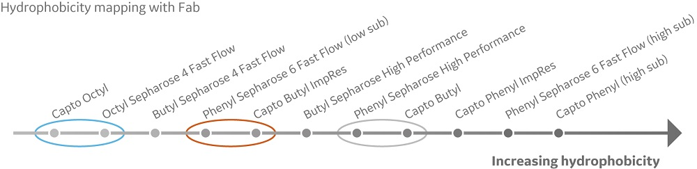 Increasing productivity in hydrophobic interaction chromatography (HIC ...