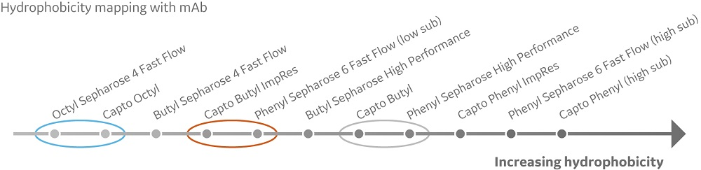 Increasing productivity in hydrophobic interaction chromatography (HIC ...