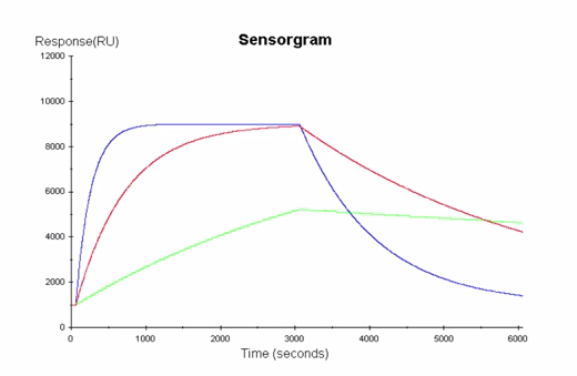 Immunoassay reagent development using Biacore SPR | Cytiva
