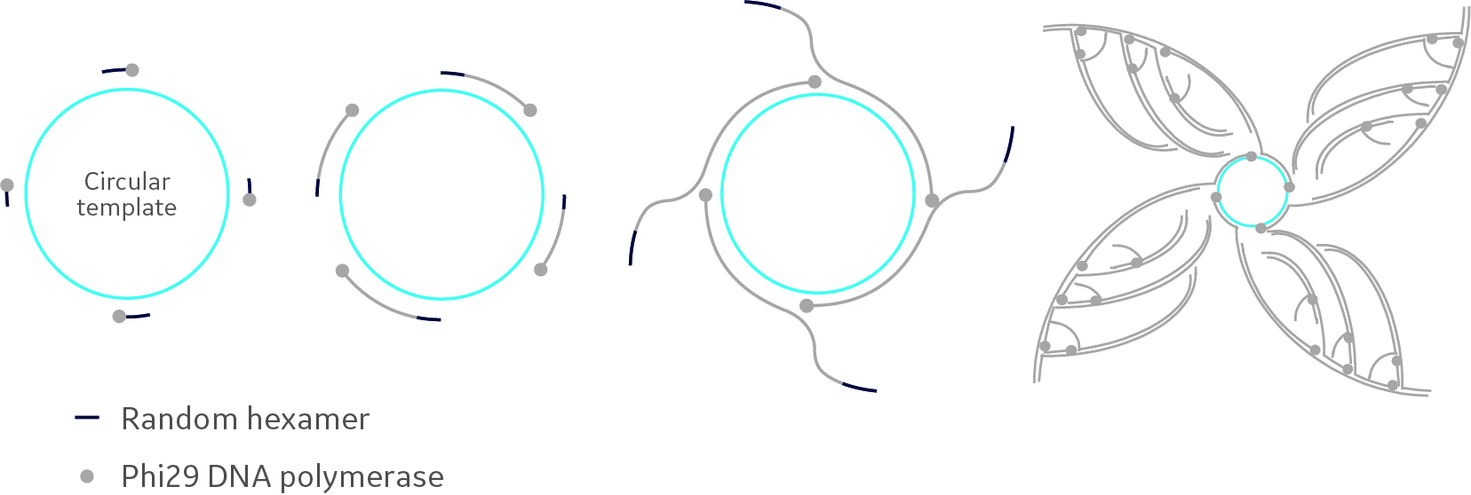 The future of DNA amplification | Cytiva